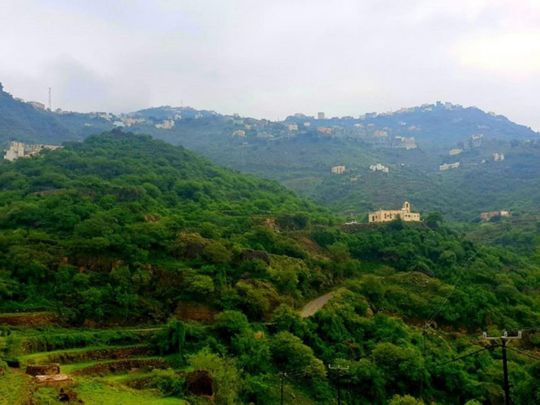 Faifa mountains: Exploring hanging gardens of Saudi Arabia - Arab Press